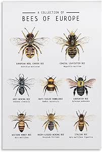Amazon.com: Bees of Europe Art Homeschool Activities Educational ...