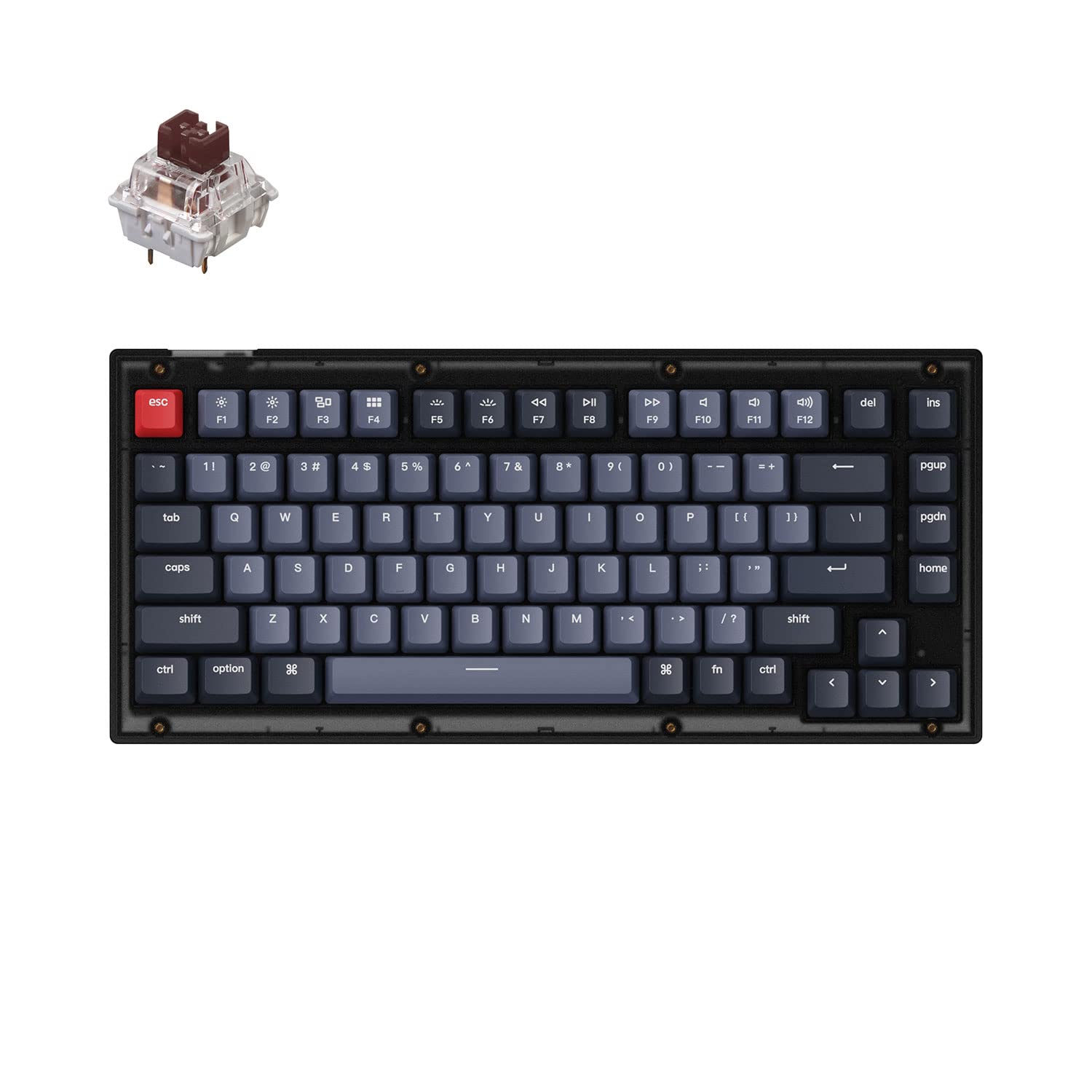 Keychron V1 Hot-swappable Custom Mechanical Keyboard, 75% Layout QMK ...