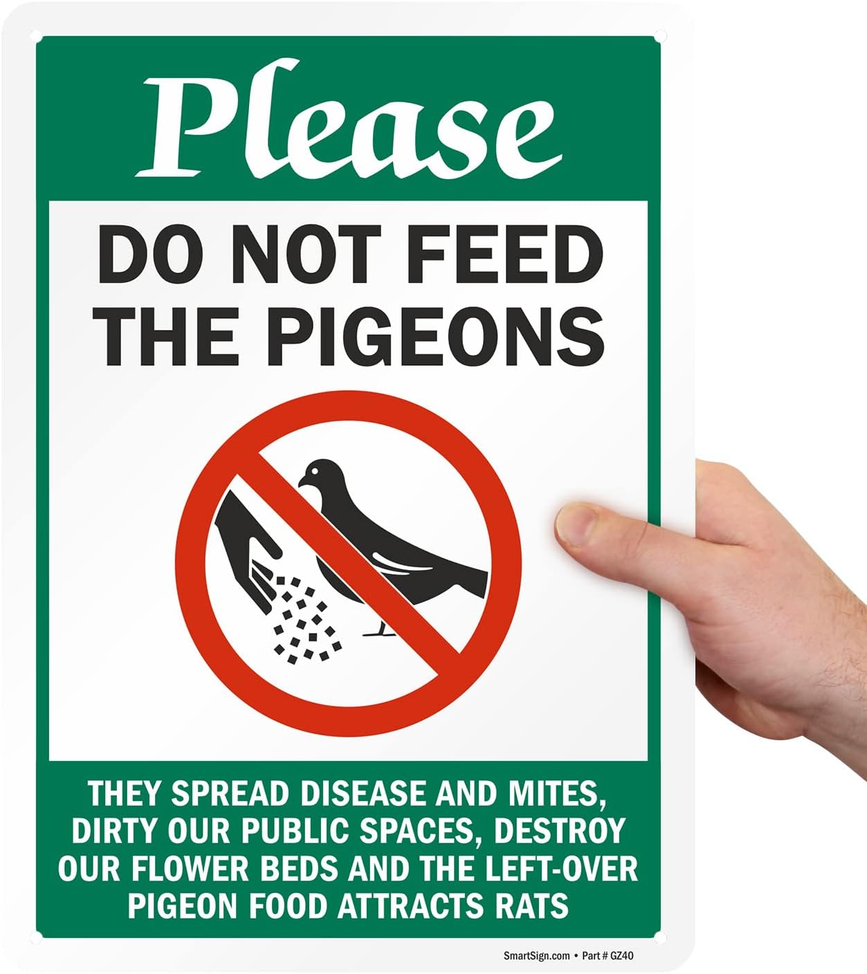 Buy SmartSign 14 x 10 inch “Please Do Not Feed The Pigeons - They ...