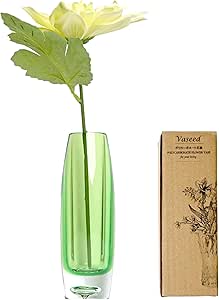 Amazon.co.jp: Vaseed 割れない 花瓶 ポリカーボネート おしゃれ花器 高さ18cm 幅7cm (グリーン) : ホーム＆キッチン