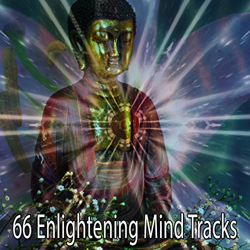 Play 66 Enlightening Mind Tracks by Zen Meditation and Natural White ...