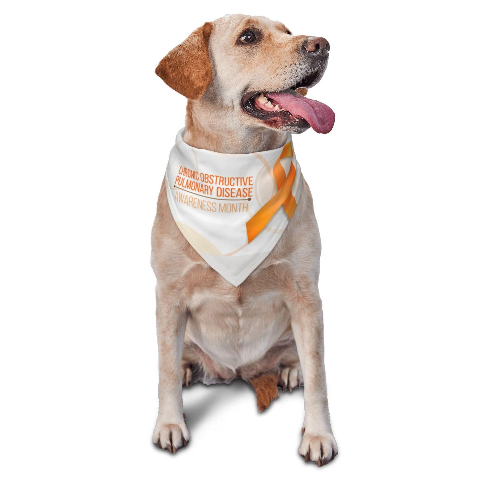 Chronic Obstructive Pulmonary Disease In Dogs