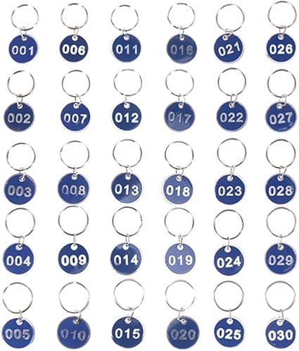 Amazon.com : NUOBESTY 30PCS Metal Numbered Tags Set 1-30 Number Keychain Tags ID Number Tags ...