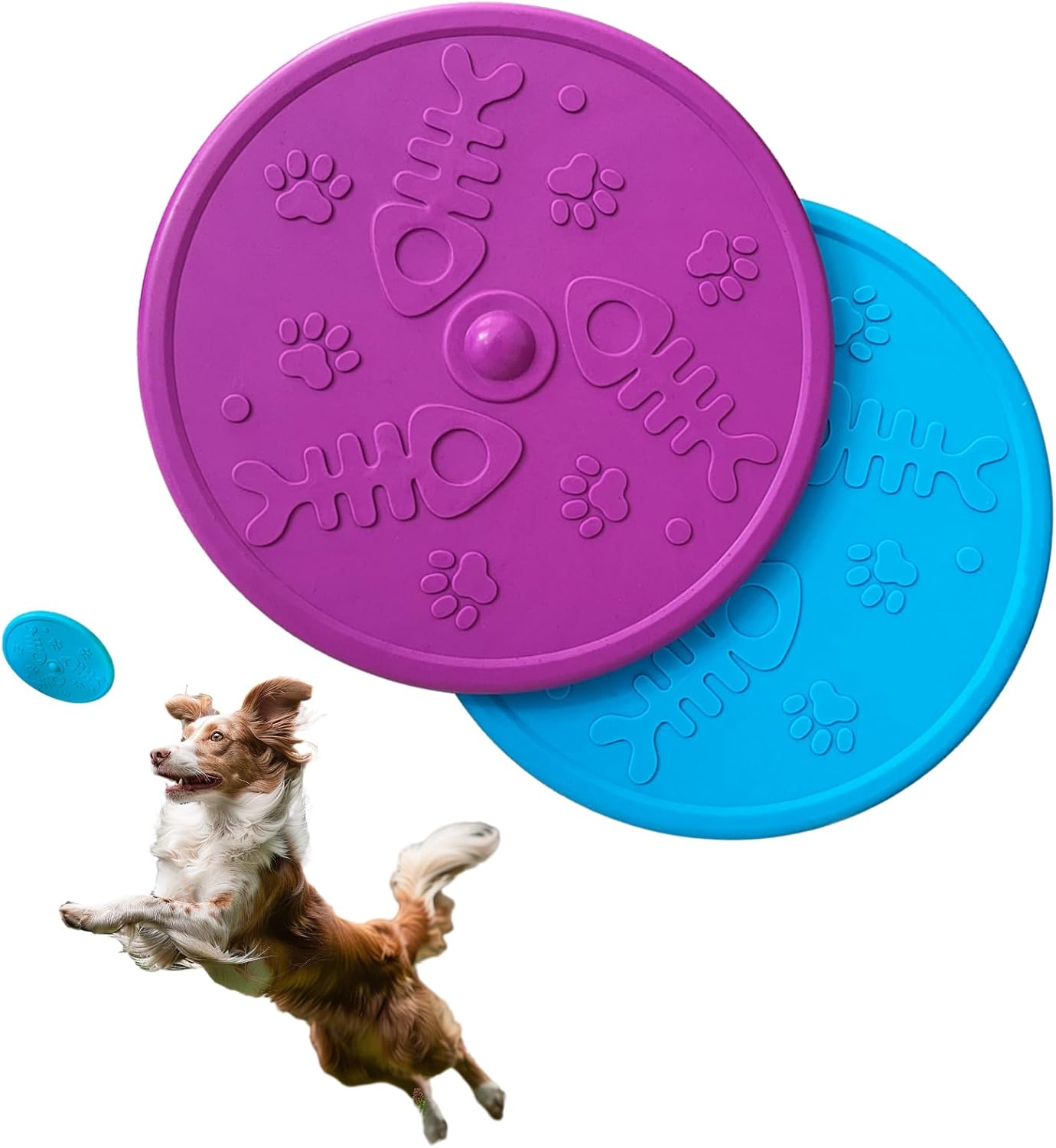 Pet Supplies : kattypet Dog Flying Disc, 2 Pack Dog Flyer Dog Toy, Dog ...