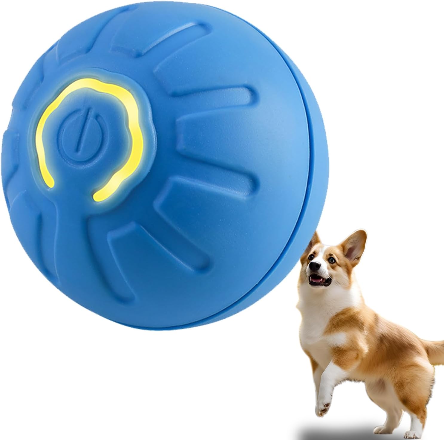 Pet Supplies : Jumstigate Self-Rolling Dog Ball,Automatic Bouncing Ball ...