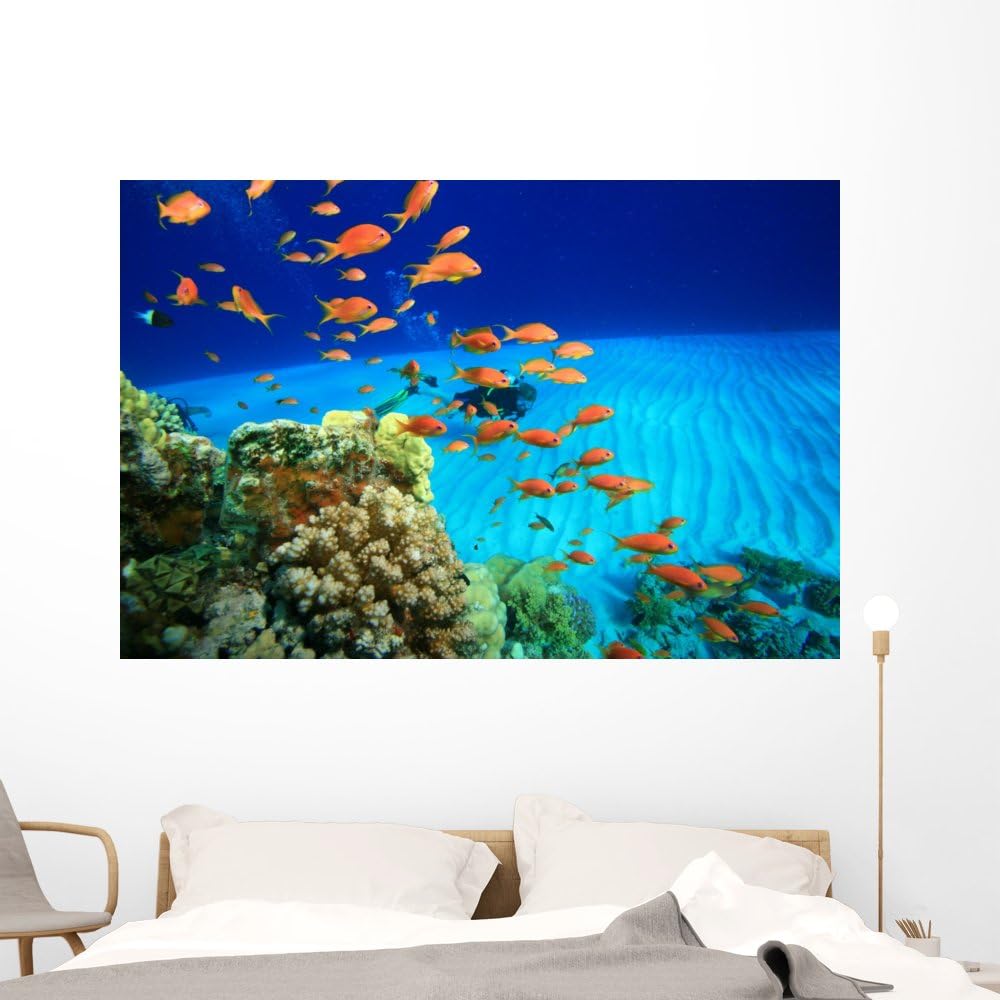 Amazon.com: Wallmonkeys Coral Reef and Scuba Wall Mural Peel and Stick ...