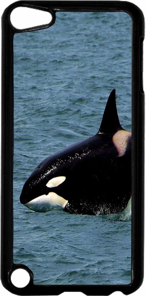 Amazon.com: Orca Killer Whales Lea Elliot TM Hard Black Plastic Case ...