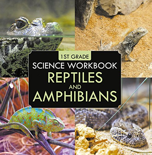 1st Grade Science Workbook: Reptiles and Amphibians , Professor, Baby ...