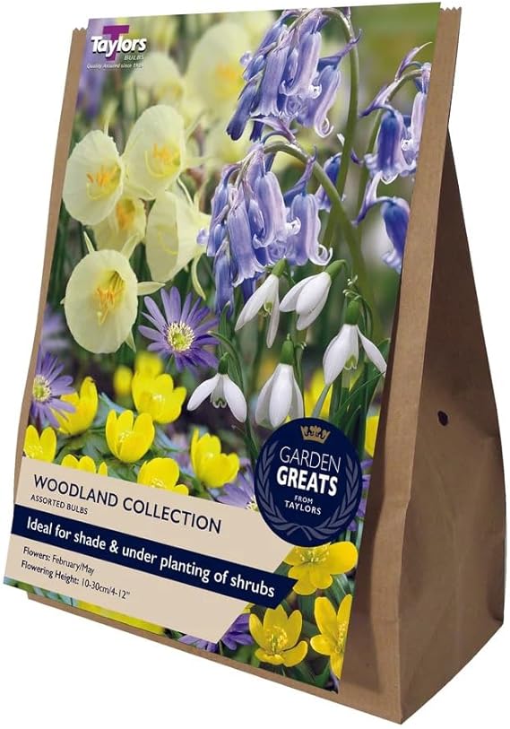 Taylors Bulbs AV605 Woodland Collection, Assorted Mix of Spring ...
