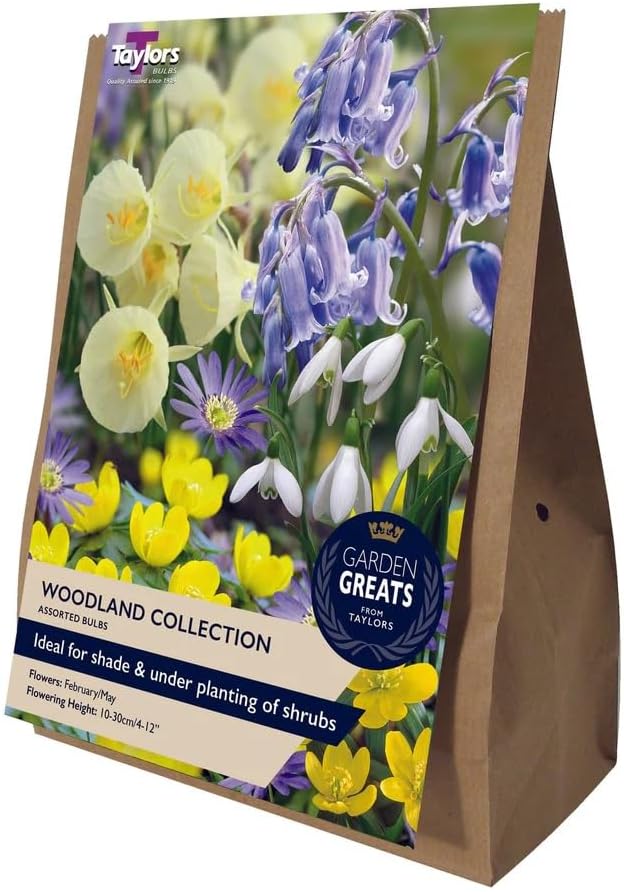Taylors Bulbs AV605 Woodland Collection, Assorted Mix of Spring ...