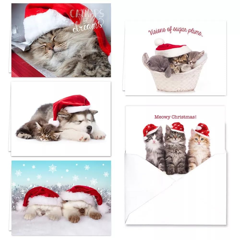 Christmas Cats Holiday Card Pack / 25 Seasonal Kitten Greeting Cards ...