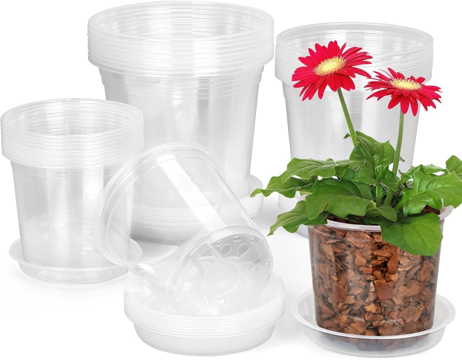 Amazon.com: HQAUT 12 Pack 7 Inch Clear Nursery Pots with Drainage and ...