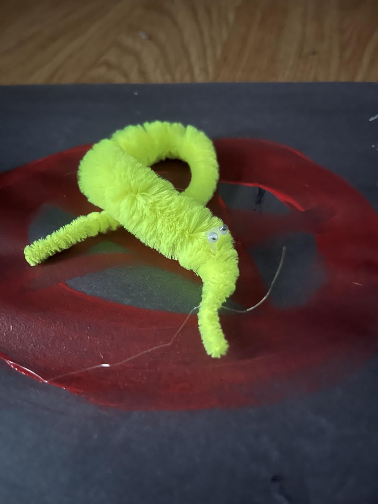 Amazon.com: UNIME 12 Pack Magic Worm Toys Wiggly Twisty Fuzzy Worms On ...