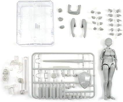 Amazon.com: Body Kun DX Set Male & Female Action Figure Model Set for ...