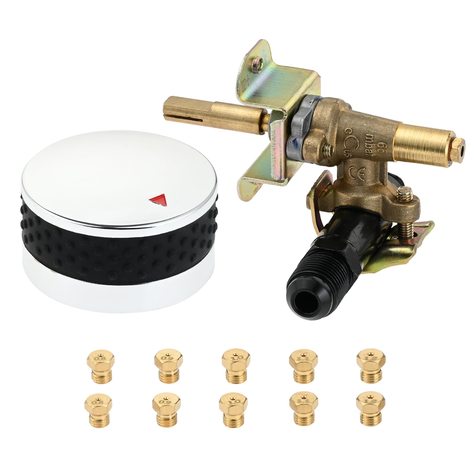 Amazon.com: Lemfema Natural Gas Conversion Control Valve Kit with LP ...