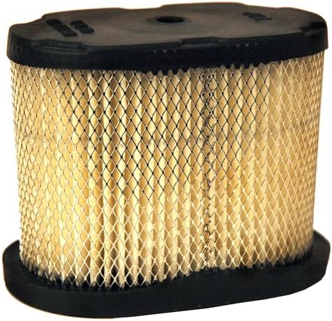 Amazon.com : Rotary # 9168 Air Filter For Briggs and Stratton # 697029 ...