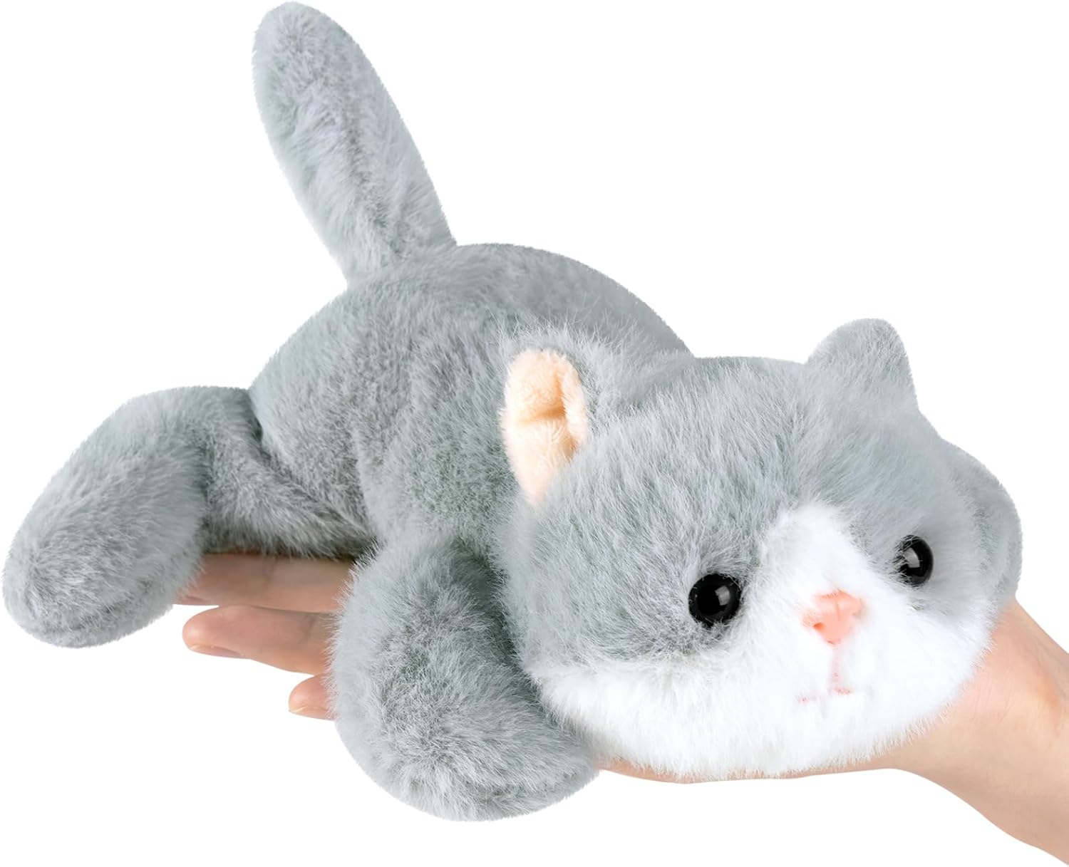 Amazon.com: Ditucu Cute Cat Stuffed Animal Soft Kitten Plush Doll Small ...