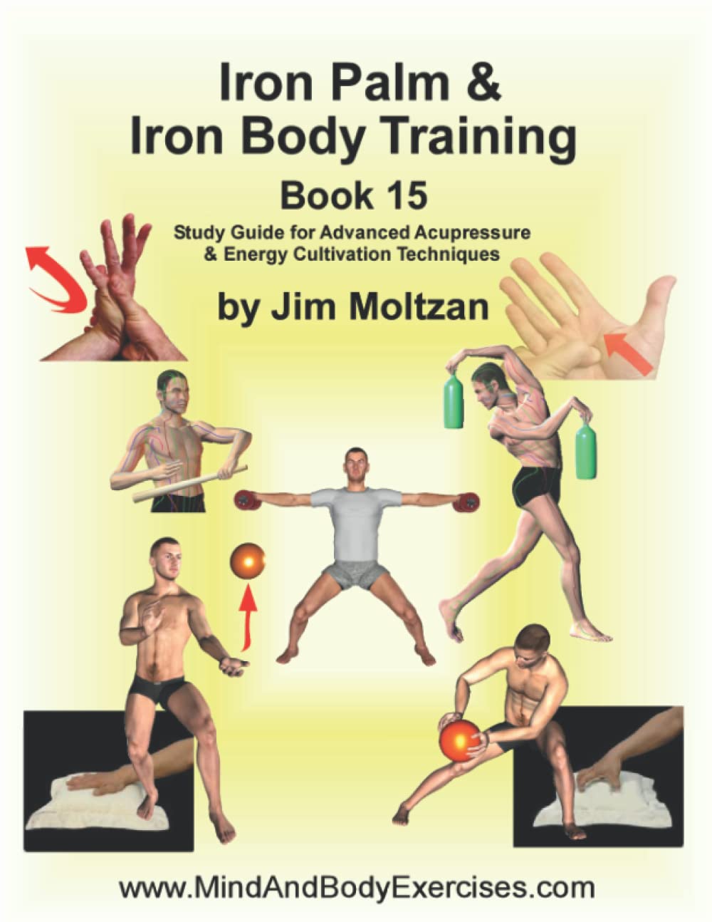 Book 15-Iron Palm & Iron Body (Health and Wellness Study Guides Using ...
