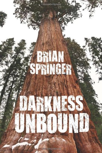 Darkness Unbound (The Armageddon Cycle): Brian Springer: 9781483945286 ...