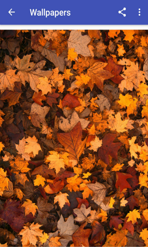 Wallpapers and Backgrounds - App on Amazon Appstore