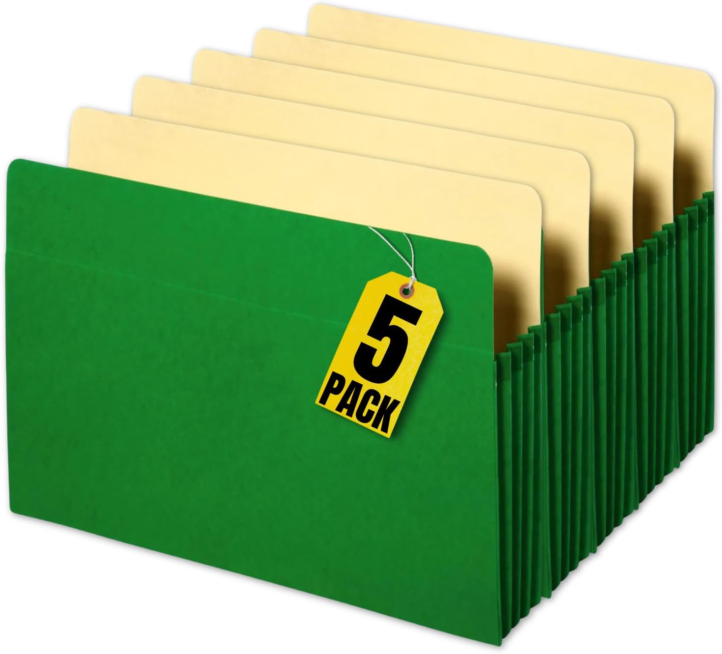 Amazon.com : 1InTheOffice Expanding File Pockets, File Jackets, File ...