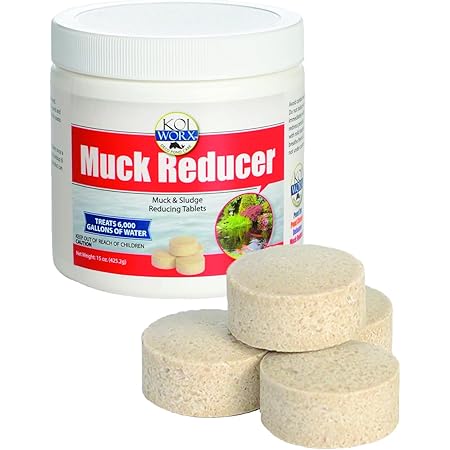 Amazon.com : API POND-ZYME SLUDGE DESTROYER Pond Cleaner With Natural ...