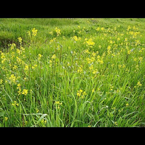 Play You Are Everything by Danny Blair on Amazon Music