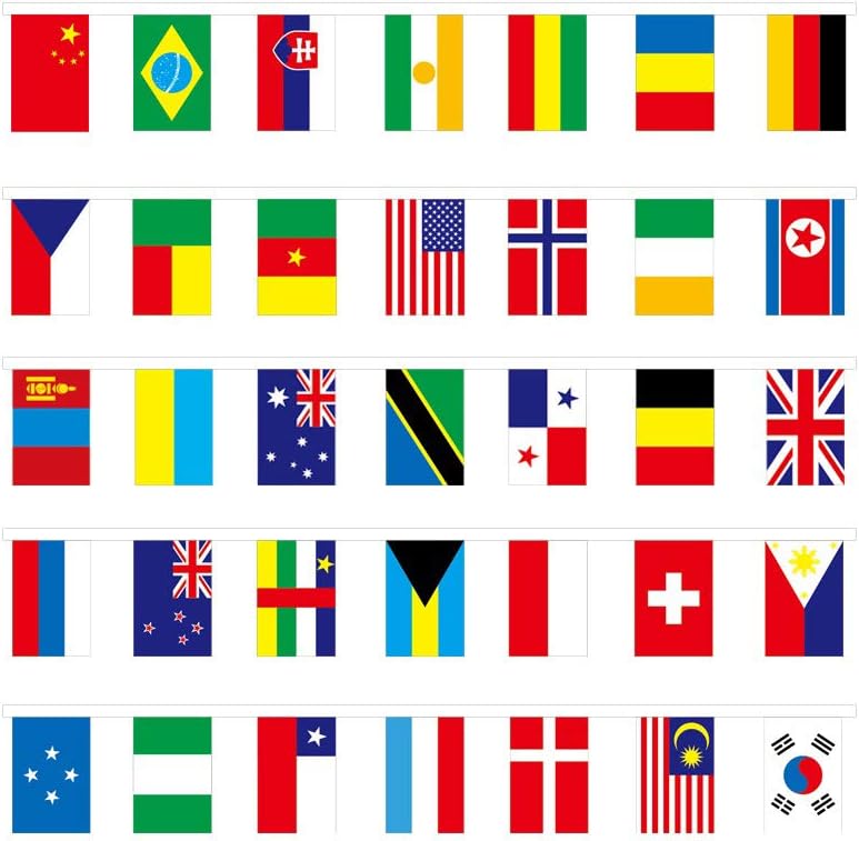 Amazon.com: EVERMARKET 100 Pcs World Flags, 100 Countries Pennant ...