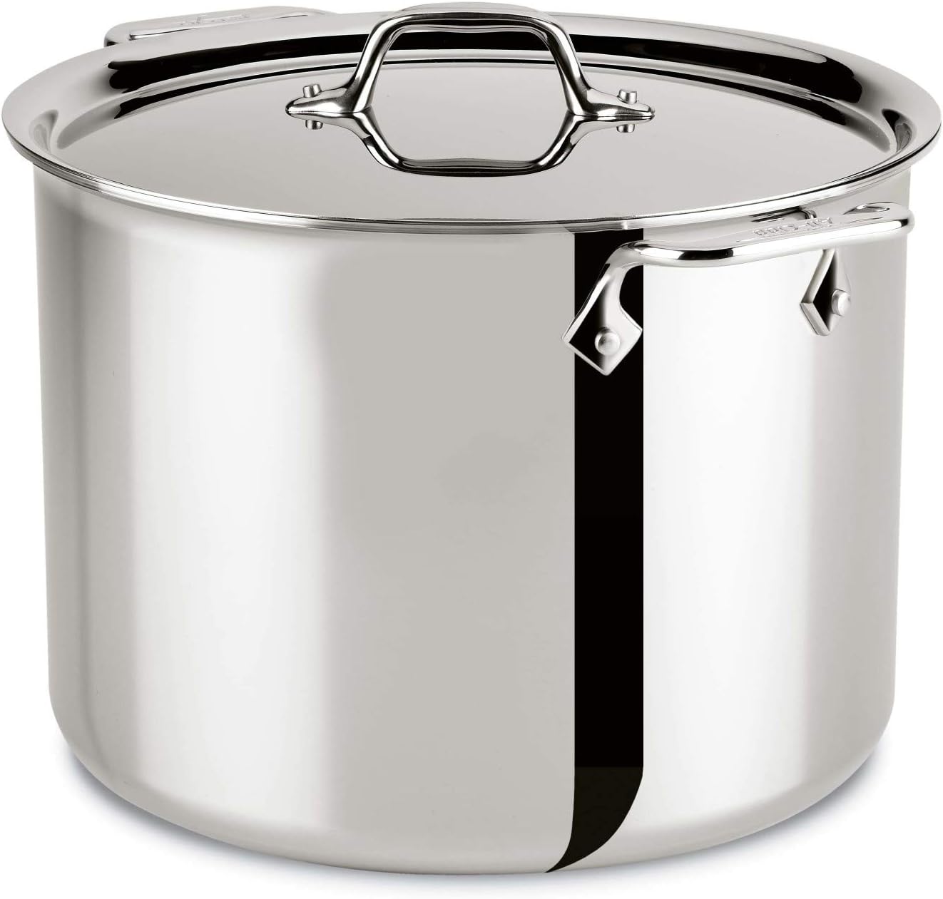 Amazon.com: All-Clad Specialty Stainless Steel Stockpot with Strainer ...