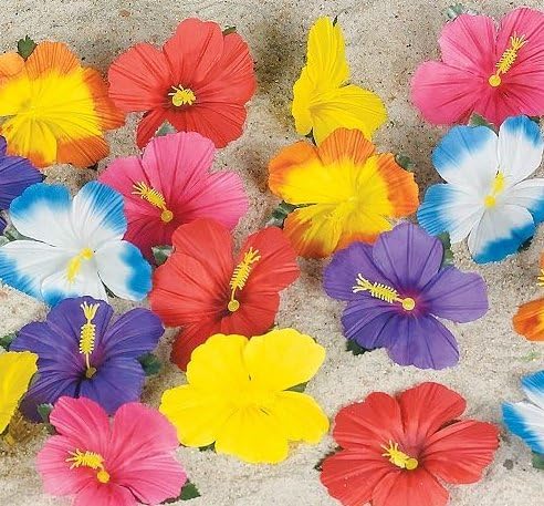 Amazon.com: Decorative Hibiscus Flowers (24 pc) : Home & Kitchen