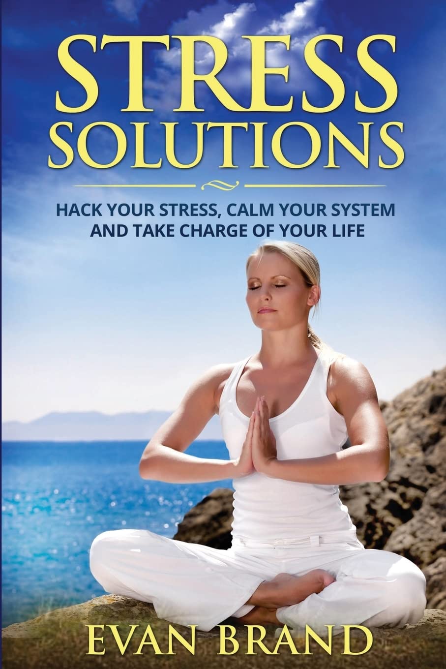 Stress Solutions: Hack Your Stress, Calm Your System and Take Charge of ...