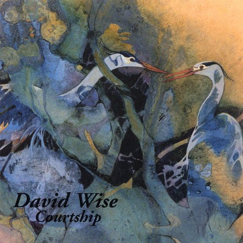 Amazon.com: Courtship : David Wise: Digital Music