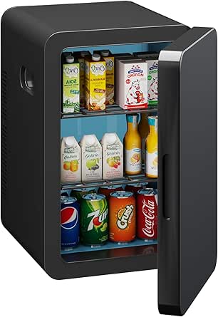 Amazon.com: Cobuy 22L Mini Fridge 30 Cans Small Cooler & Warmer ...