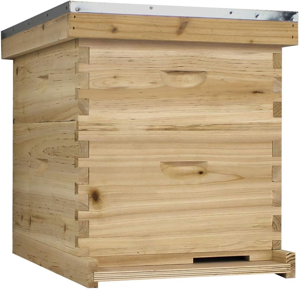 Amazon.com : NuBee Starter 10 Frame Beehive Kit - Includes 1 Hive Body ...