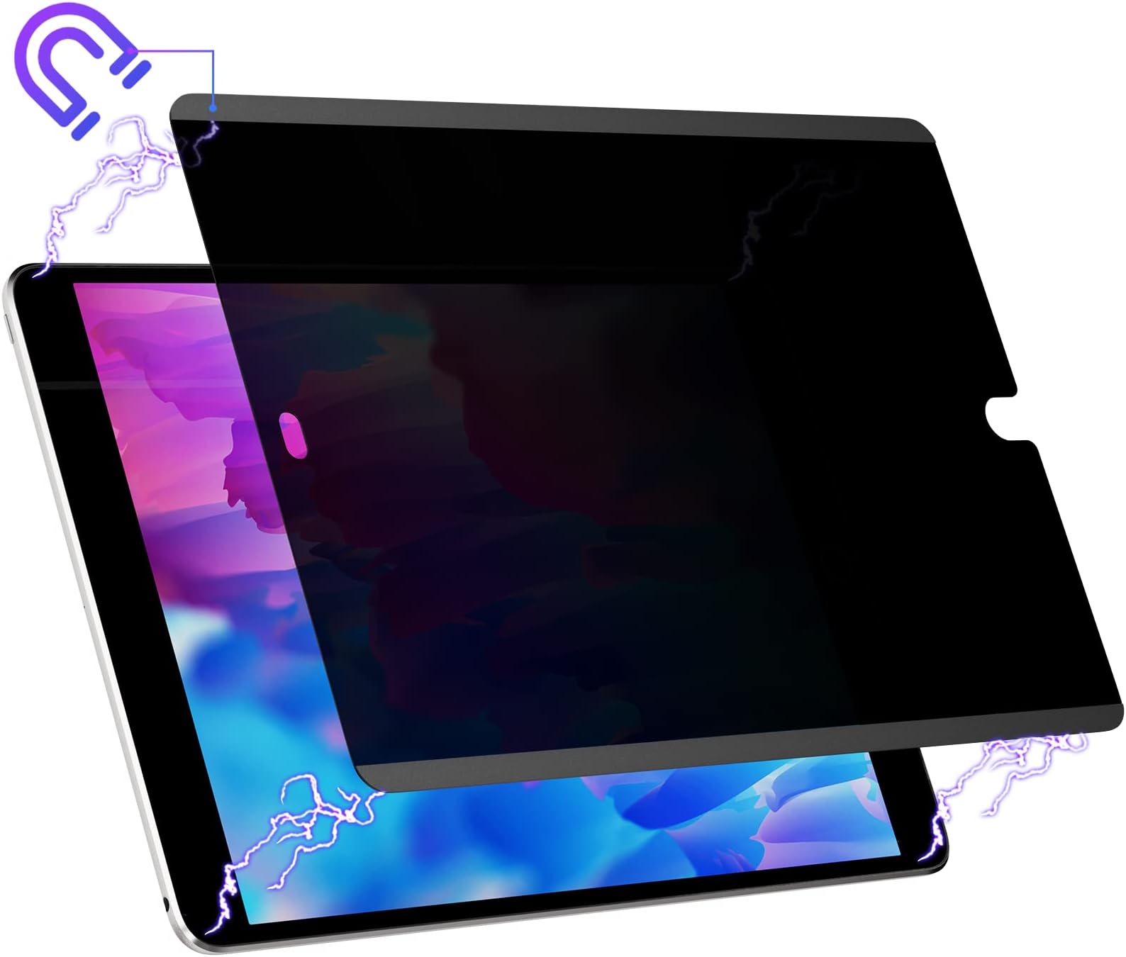 Amazon.com: Peslv Magnetic Privacy Screen Protector for iPad 9th 8th ...