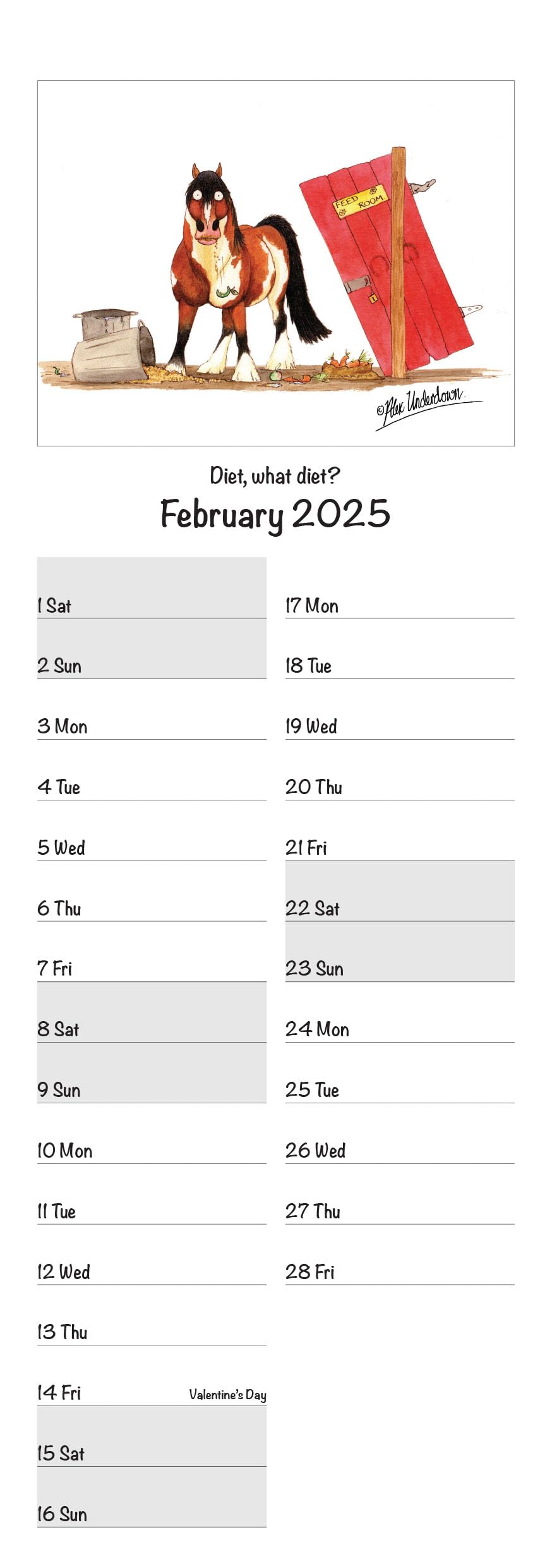 Equestrian Horse and Pony Calendar 2025 by Alex Underdown – BigaMart