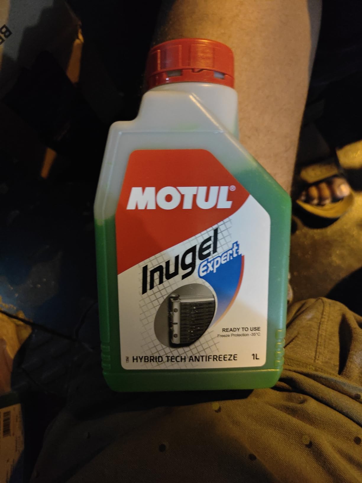 Motul Inugel Expert HYBRID TECH ANTIFREEZE (1 L) : Amazon.in: Car ...