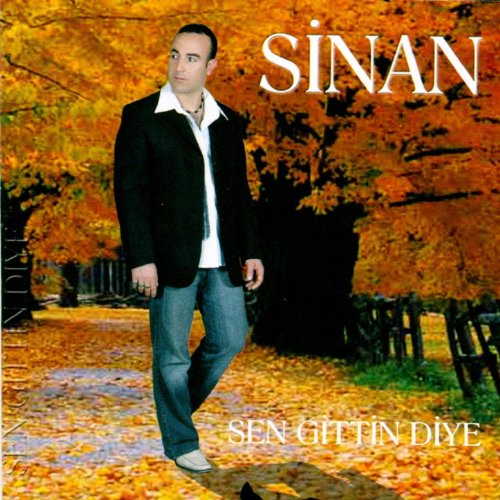 Amazon.com: Sen Gittin Diye : Sinan: Digital Music
