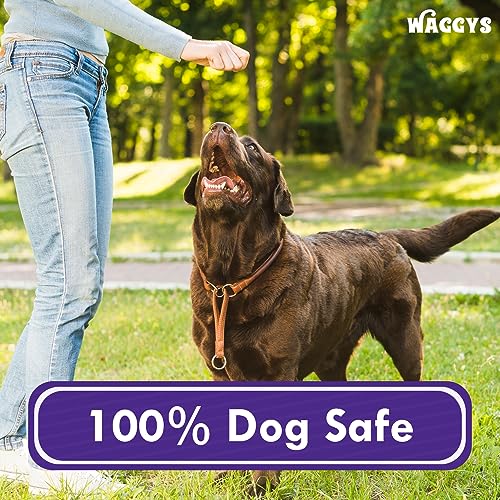 Waggys Dog Chocolate Drops 100% Safe Choc Button Treats for Dogs ...