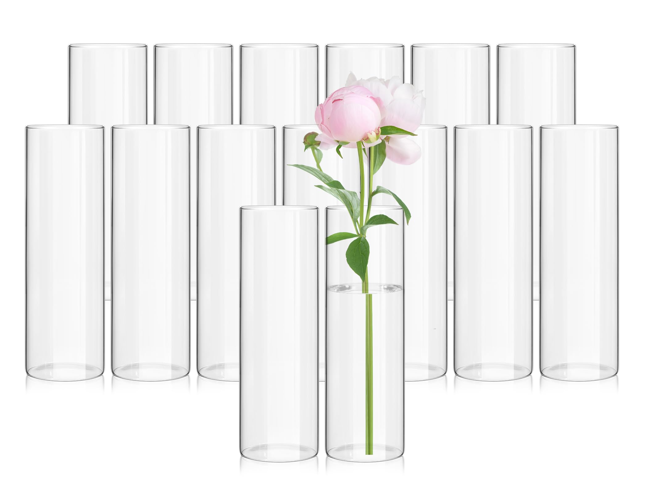 Amazon.com: 15 Pack Glass Cylinder Vases 12 Inch Tall Clear Flower Vase ...