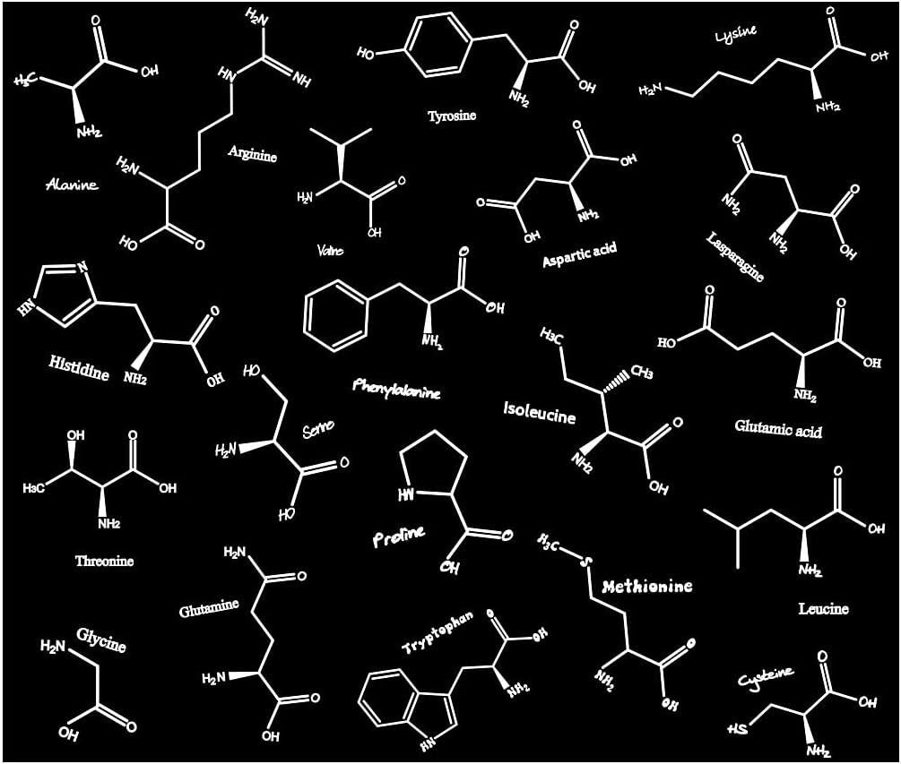 Amazon.com: Amino Acids s2Chemistry Posters | Science Posters | Matte ...
