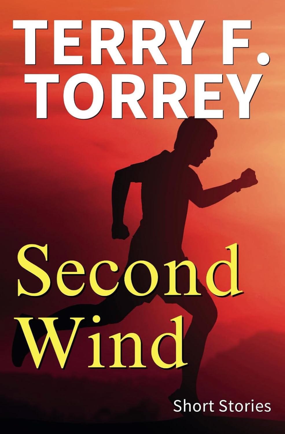 Second Wind: A Collection (Short Story Collections): Torrey, Terry F.: 9781961042162: Amazon.com ...