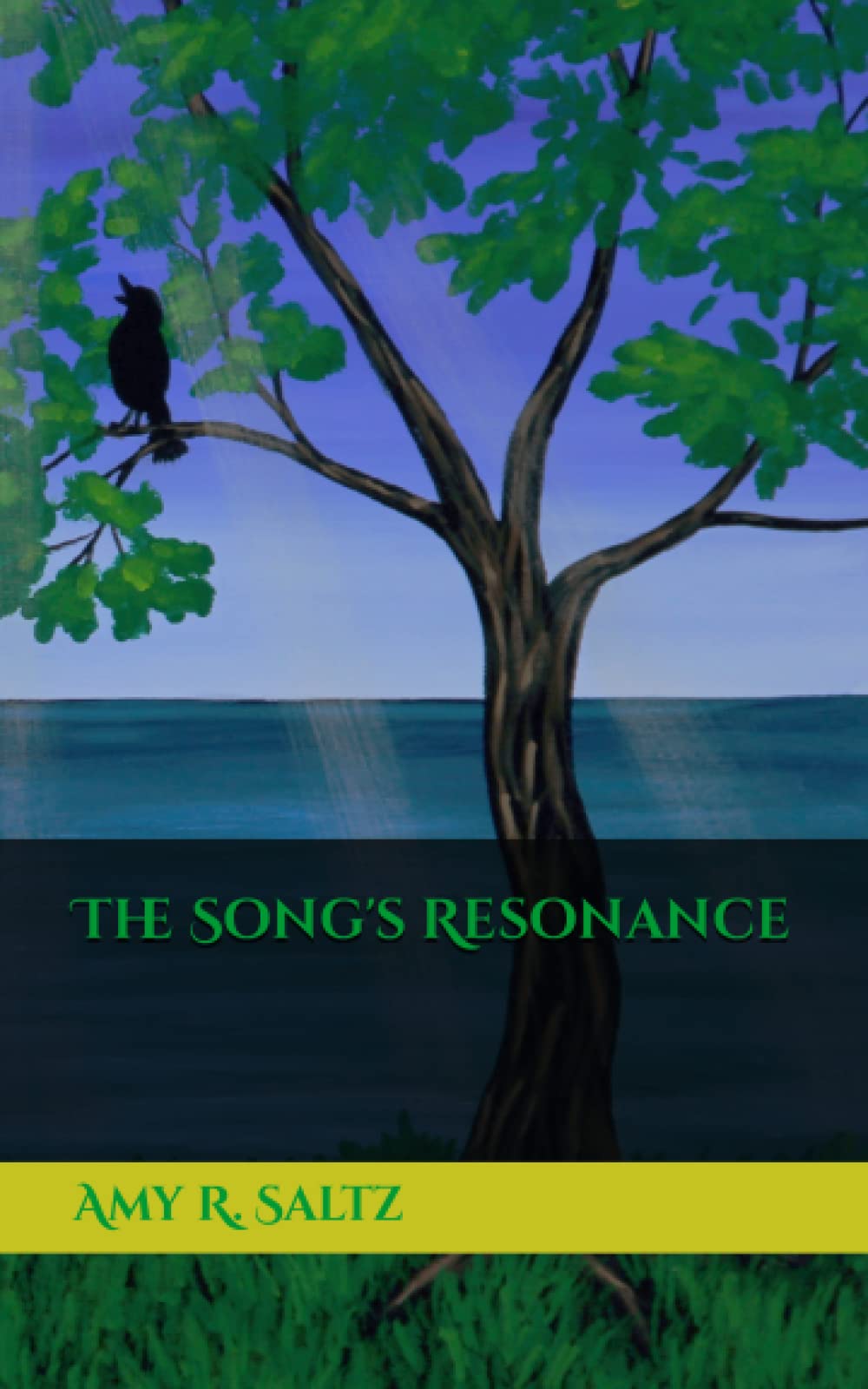 The Song's Resonance: Saltz, Amy R.: 9798372122062: Amazon.com: Books