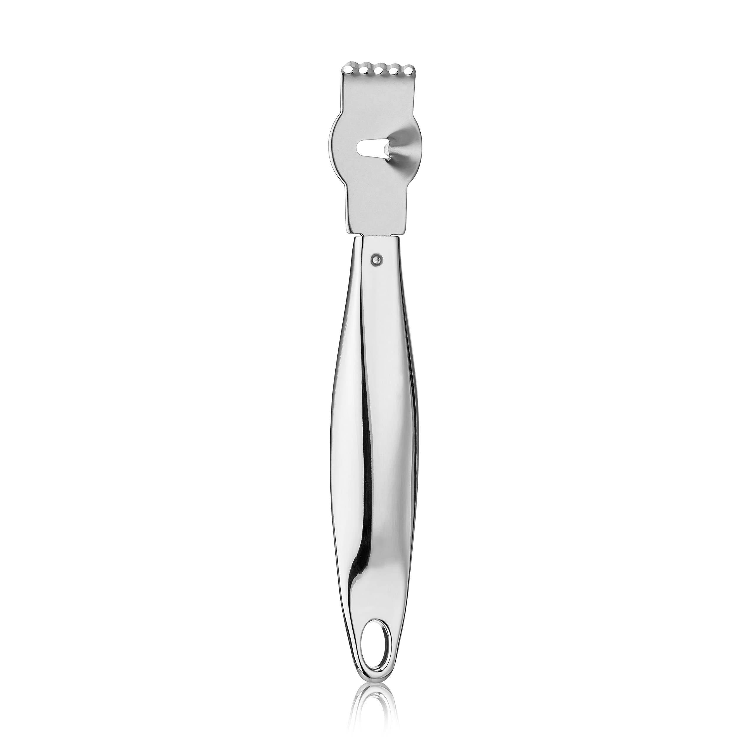 Snapklik.com : True Zesty Stainless Steel Citrus Zester Tool, Cocktail ...