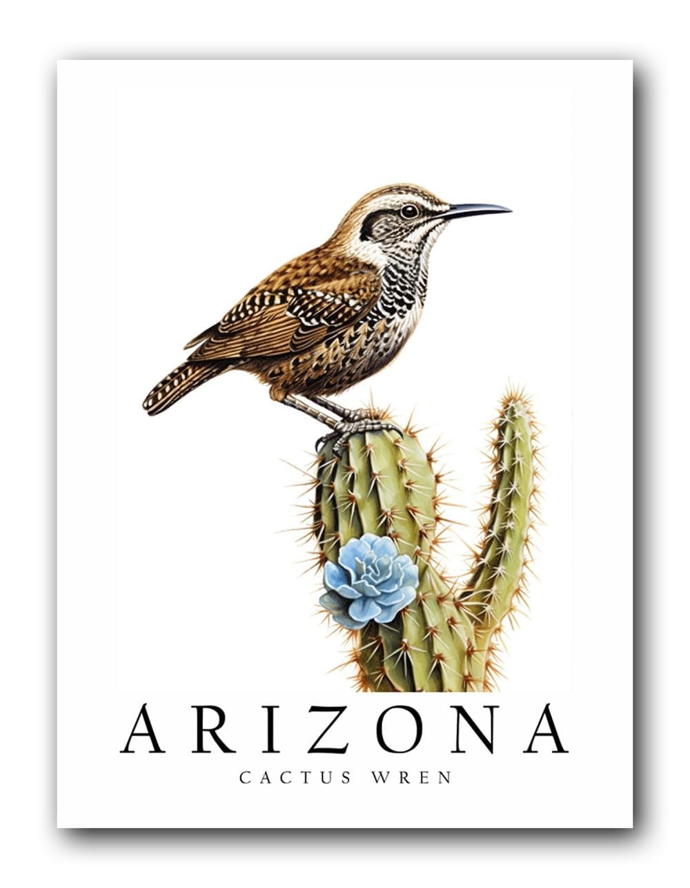Amazon.com: Cactus Wren, The State Bird of Arizona, Poster Print, Wall ...