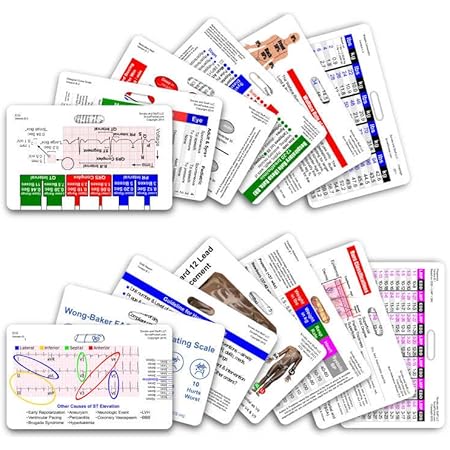 Amazon.com : Complete EMS Vertical Badge Card Set - 13 Cards : Office ...