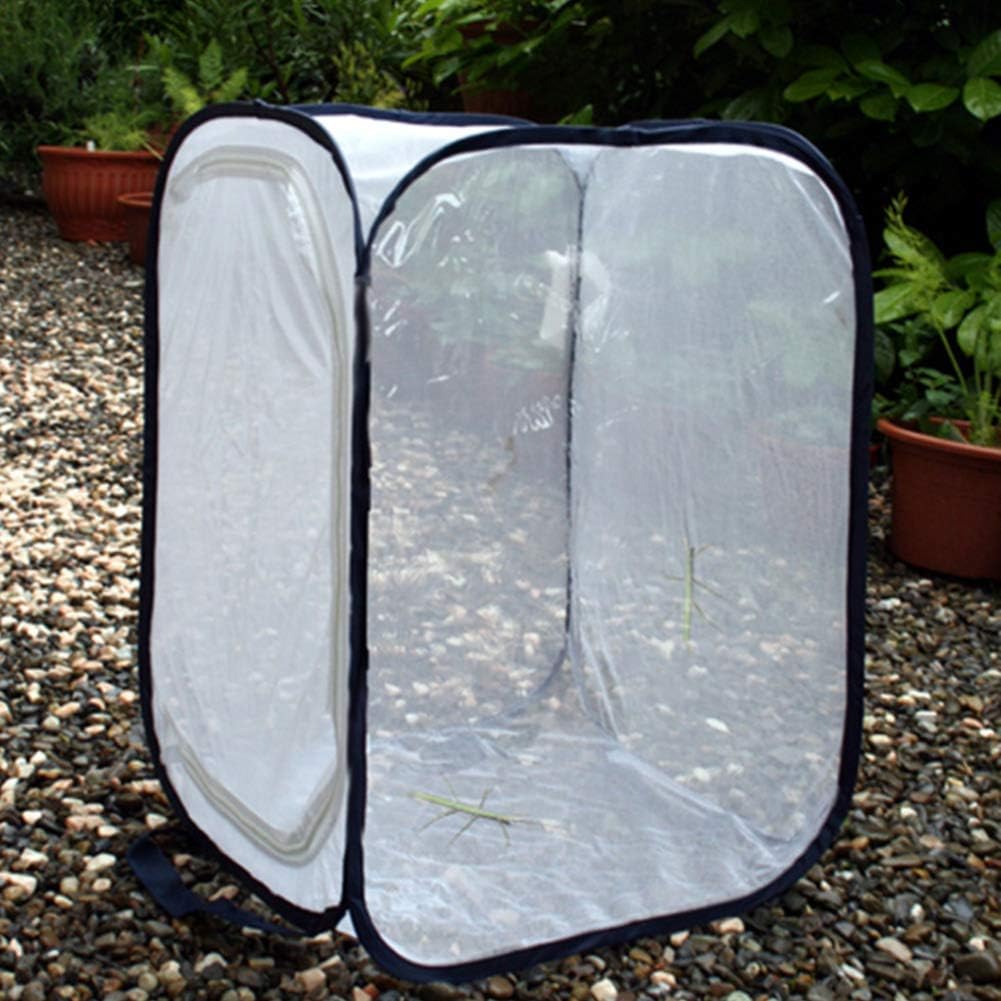 Mokia Insect Cage Collapsible Butterfly Habitat Mesh Net Foldable ...