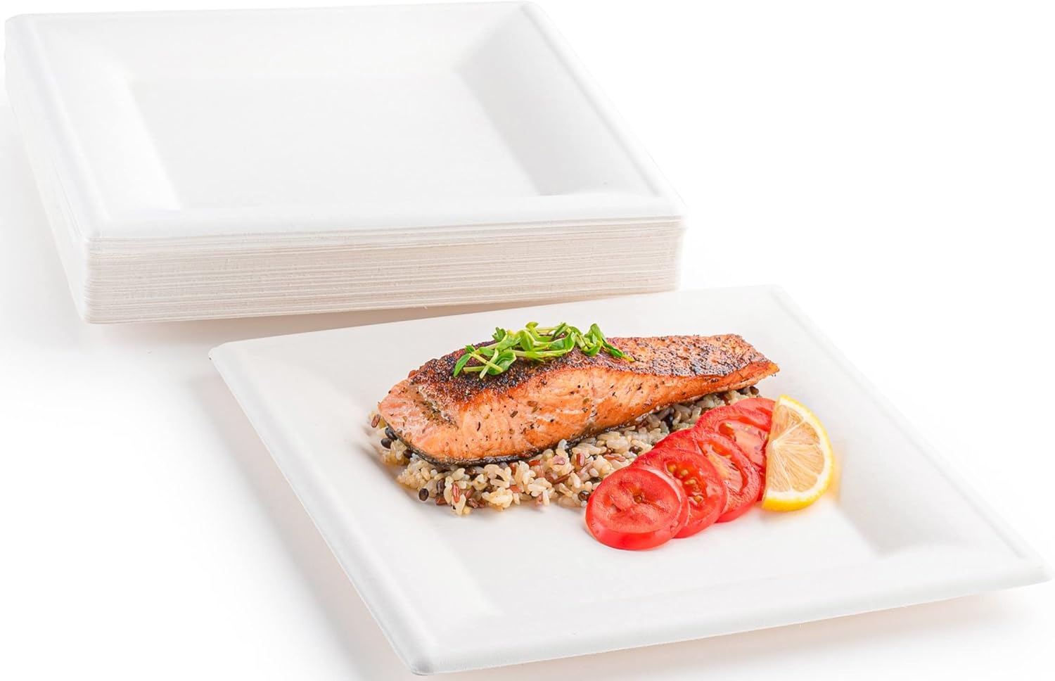 Amazon.com: brheez 10 inch Disposable Plates Paper Plates Alternative ...