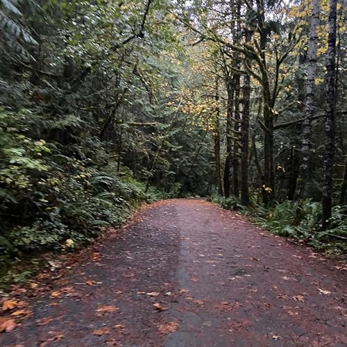 Play The Bees Knees by The Boop Master on Amazon Music