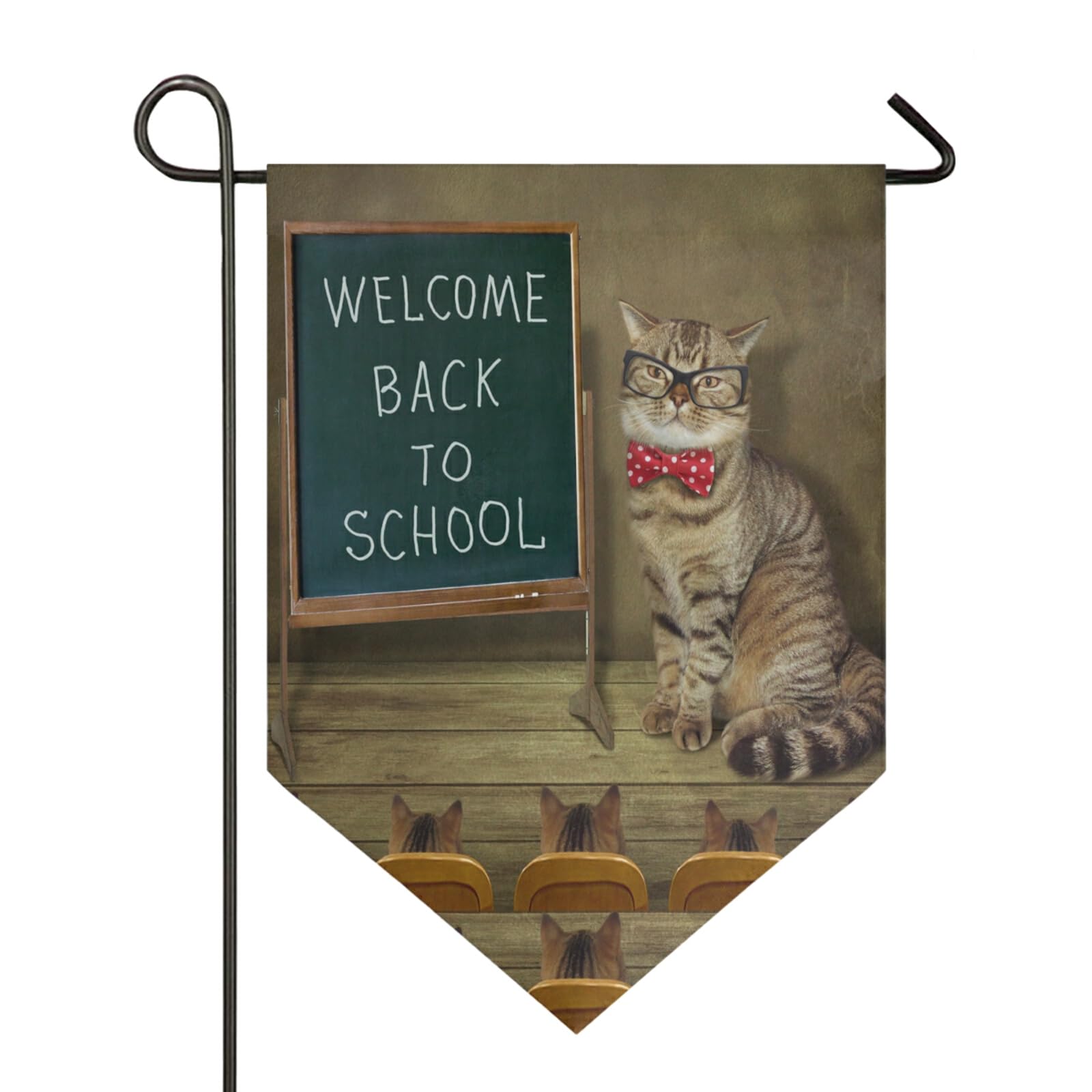 Back To School Cat